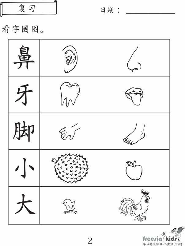 Chinese 3 Years Old Bu Chong Lian Xi Activity Book (Part 2) | Freesia Kids